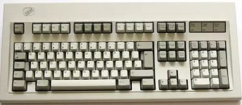 Is Keyboard An Input Or Output Device? Explained - Xtremegaminerd