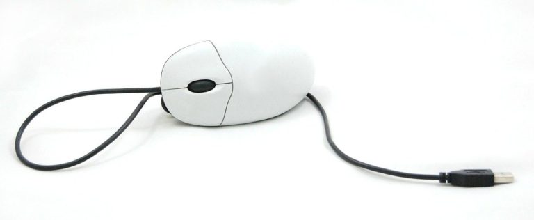 Is Mouse An Input Or Output Device? Explained - Xtremegaminerd