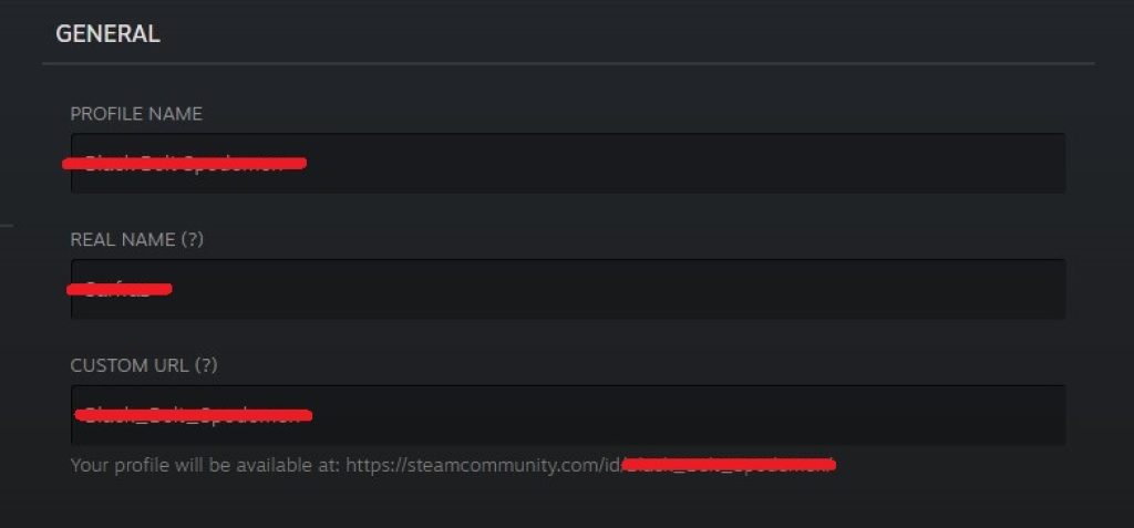 What Is Steam Custom URL And How To Set It Up? - Xtremegaminerd