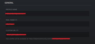 What Is Steam Custom URL And How To Set It Up? - Xtremegaminerd