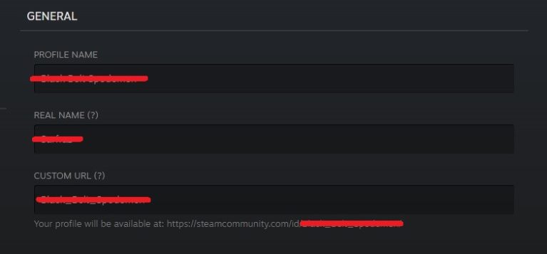 What Is Steam Custom URL And How To Set It Up? - Xtremegaminerd