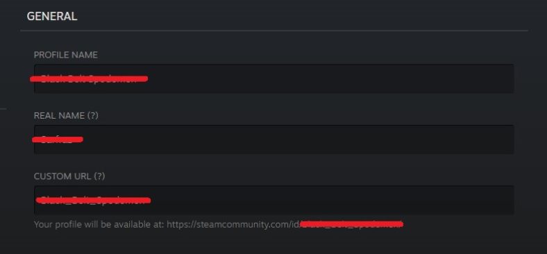 What Is Steam Custom URL And How To Set It Up? - Xtremegaminerd